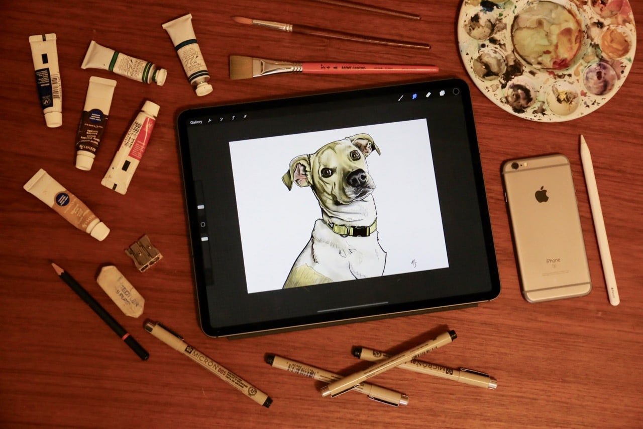 How To Draw Realistic Animals Step by Step Procreate Tutorial ...