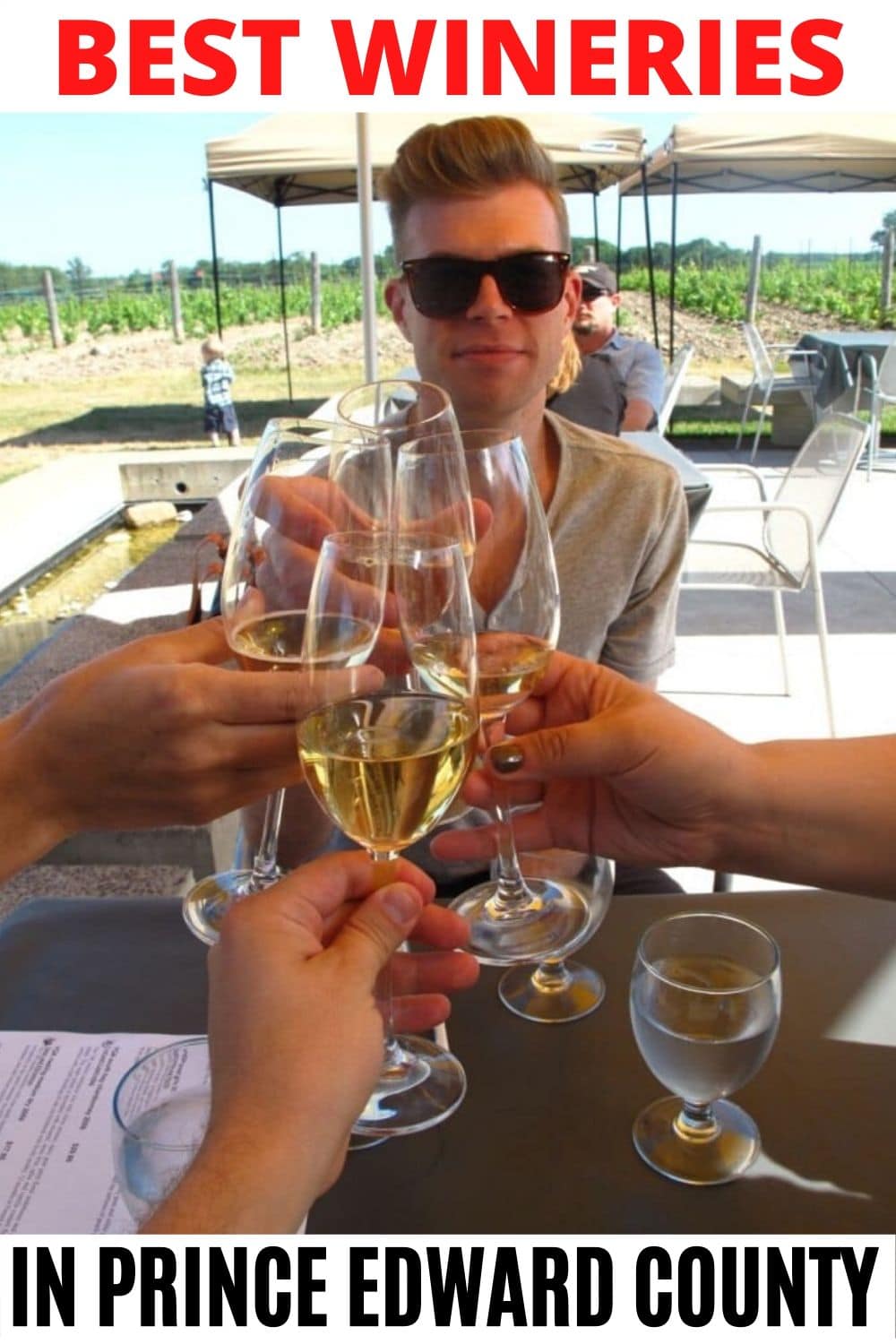 [UPDATED 2020] Best Wineries in Prince Edward County