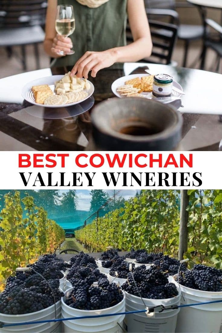 Best Cowichan Valley Wineries on Vancouver Island 2025