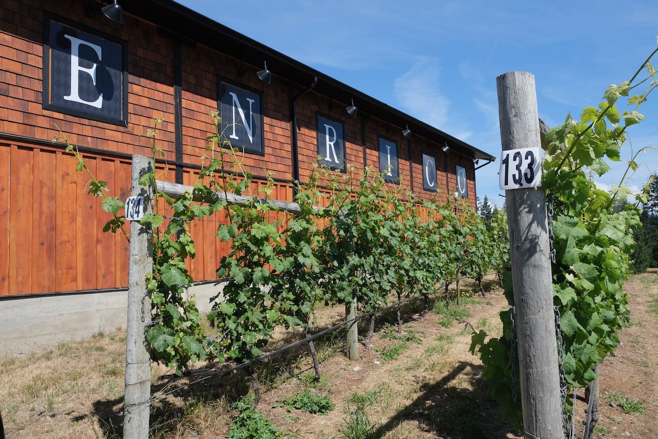 Best Cowichan Valley Wineries on Vancouver Island 2025
