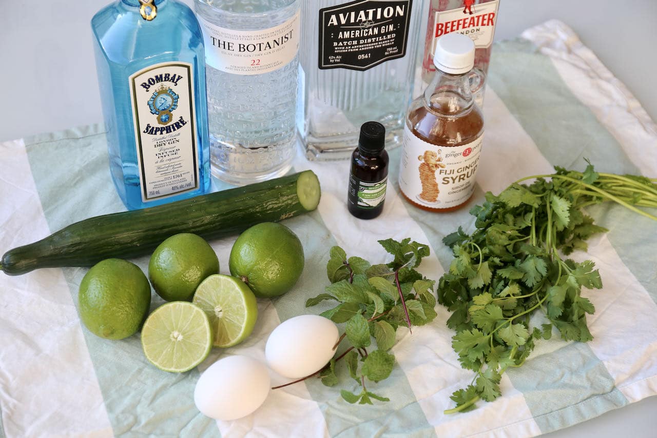 Healthy Gin Cucumber Juice Cilantro Cocktail Drink Recipe