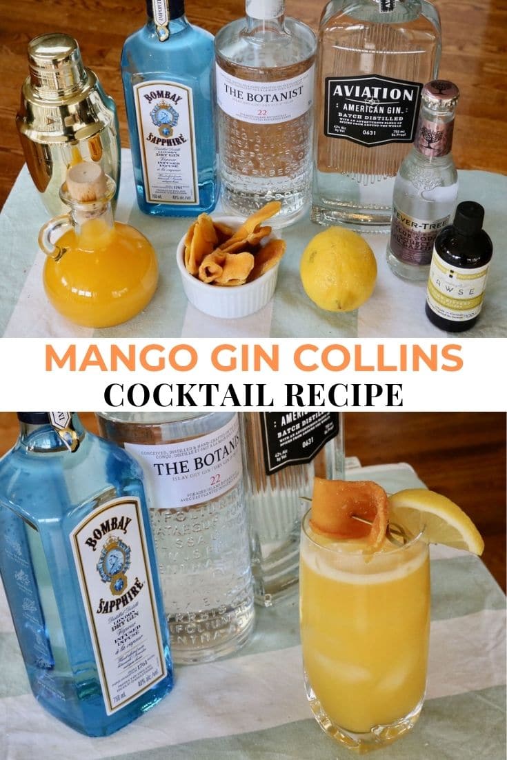 Mango Gin Collins Cocktail Recipe | dobbernationLOVES