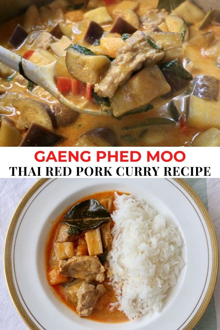 Traditional Creamy Red Thai Pork Curry Recipe | dobbernationLOVES