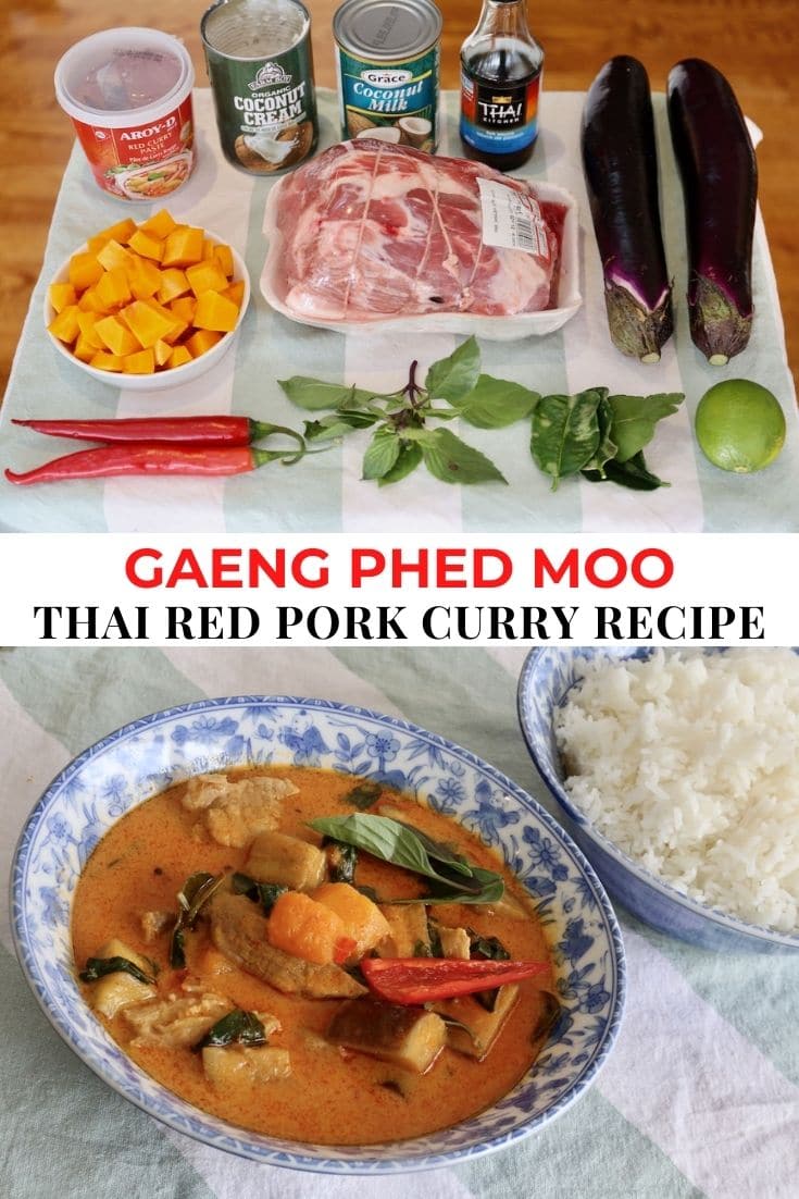 Traditional Creamy Red Thai Pork Curry Recipe | dobbernationLOVES
