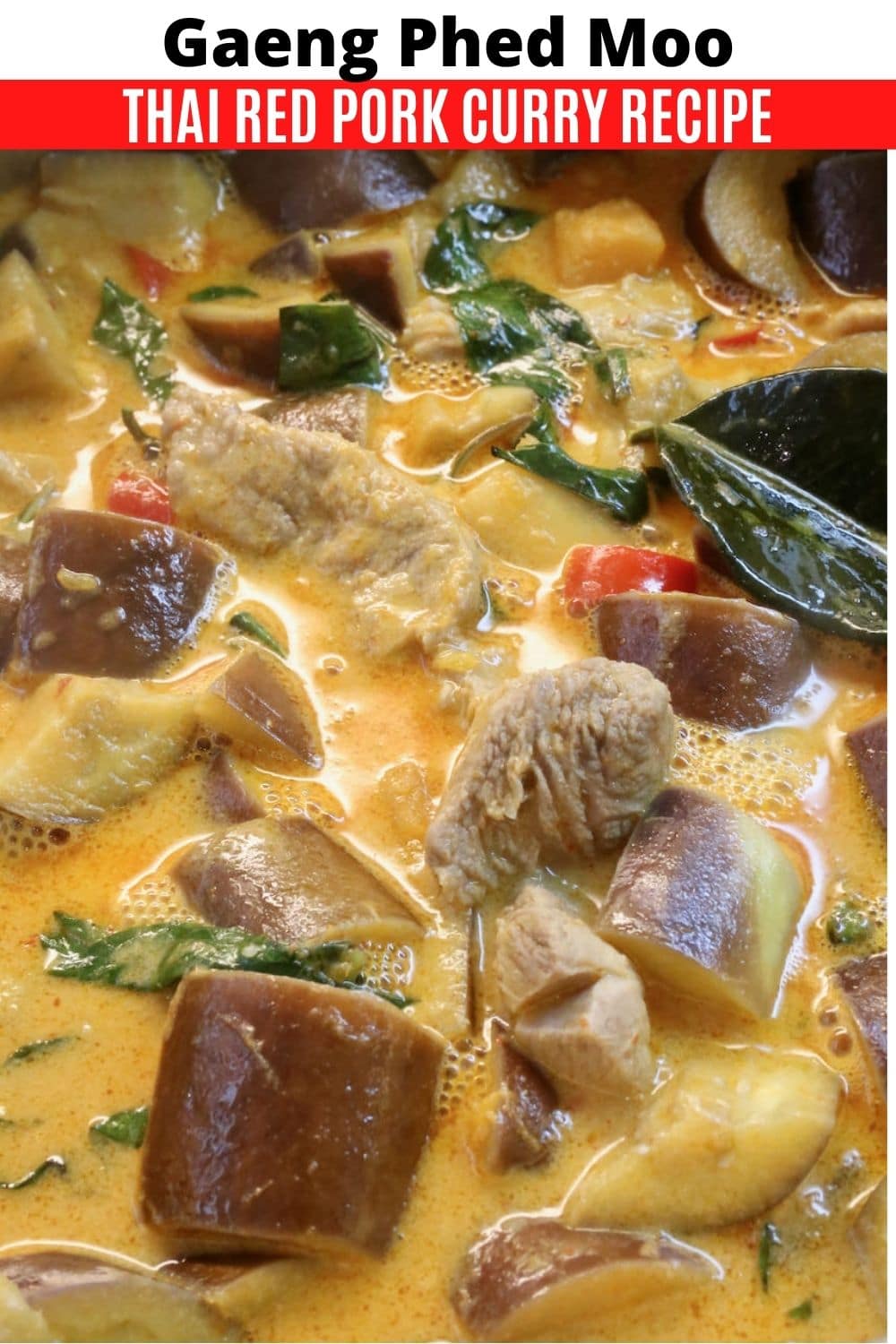 Traditional Creamy Red Thai Pork Curry Recipe | dobbernationLOVES