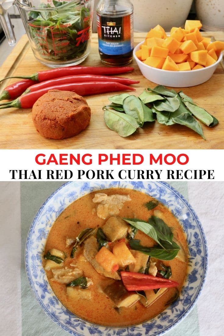 Traditional Creamy Red Thai Pork Curry Recipe | dobbernationLOVES