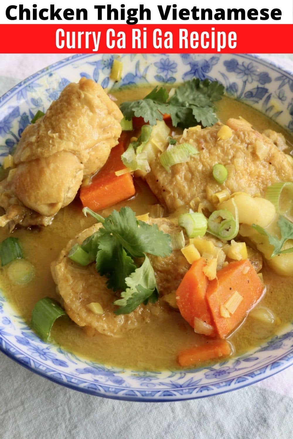 Ca Ri Ga Vietnamese Chicken Curry Recipe | dobbernationLOVES