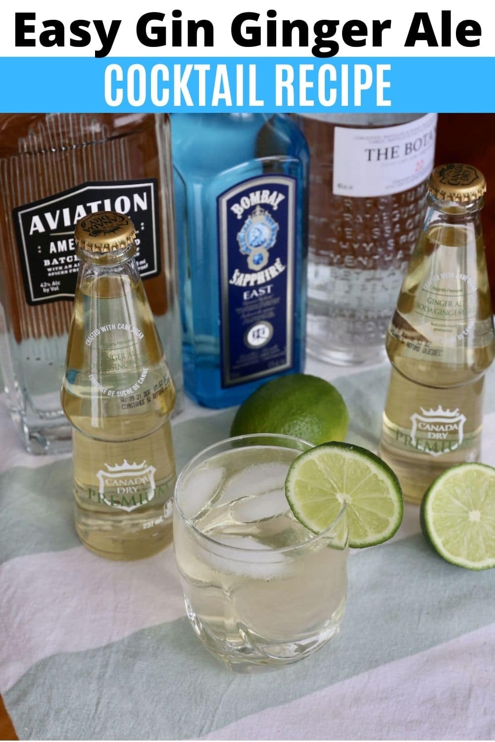 Easy Gin and Ginger Ale Cocktail Recipe | dobbernationLOVES