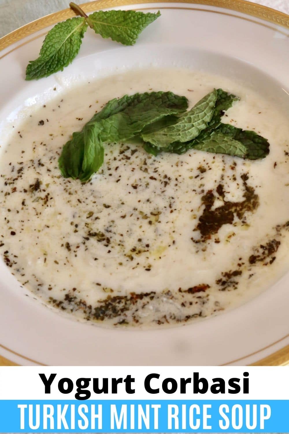 Turkish Mint Yogurt Corbasi Soup Recipe | dobbernationLOVES