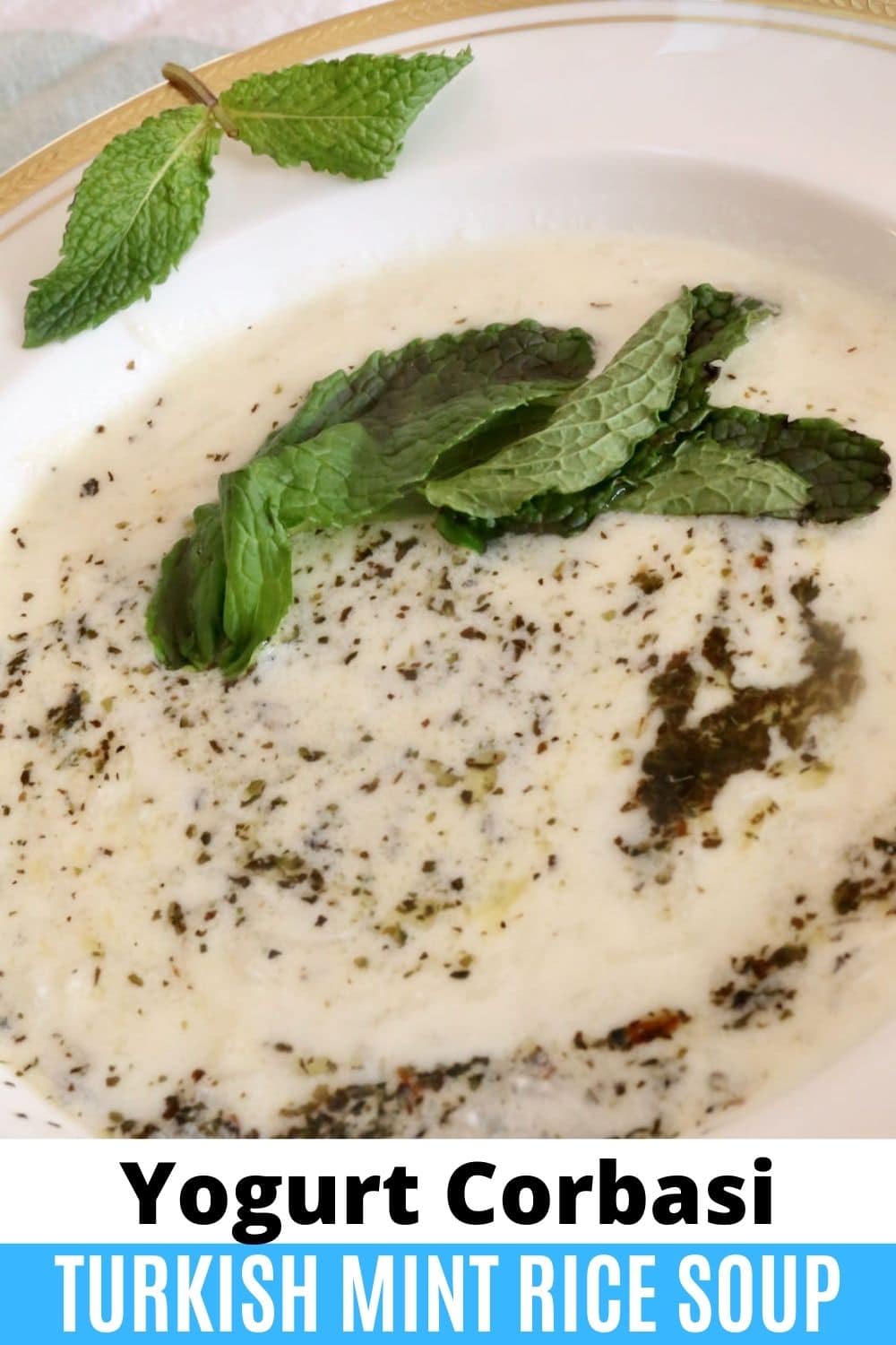 Turkish Mint Yogurt Corbasi Soup Recipe | dobbernationLOVES