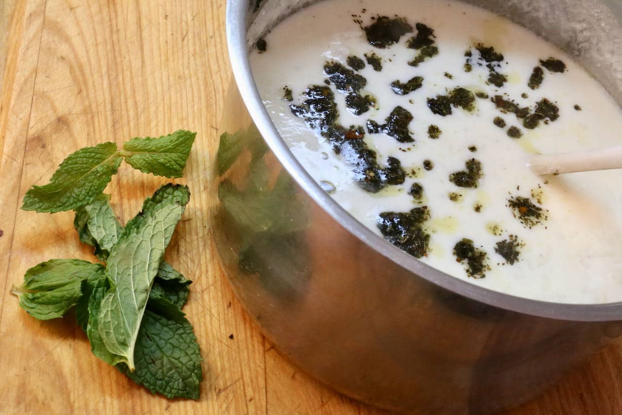 Turkish Mint Yogurt Corbasi Soup Recipe | dobbernationLOVES