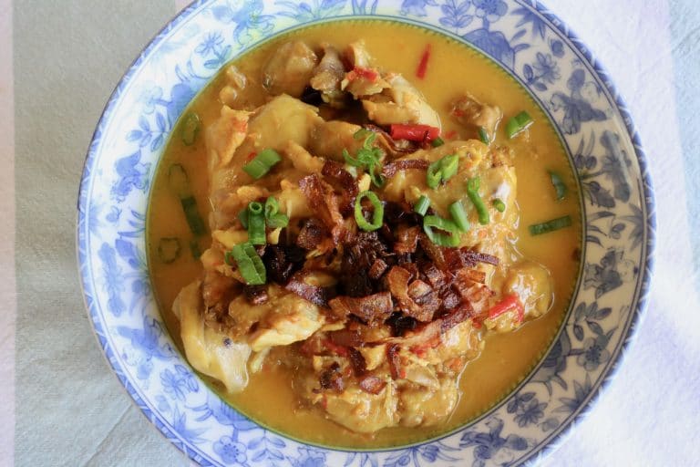 Creamy Coconut Burmese Chicken Curry Recipe | dobbernationLOVES