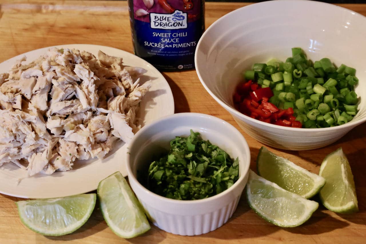 Easy Chao Ga Vietnamese Rice Porridge Breakfast Recipe | dobbernationLOVES