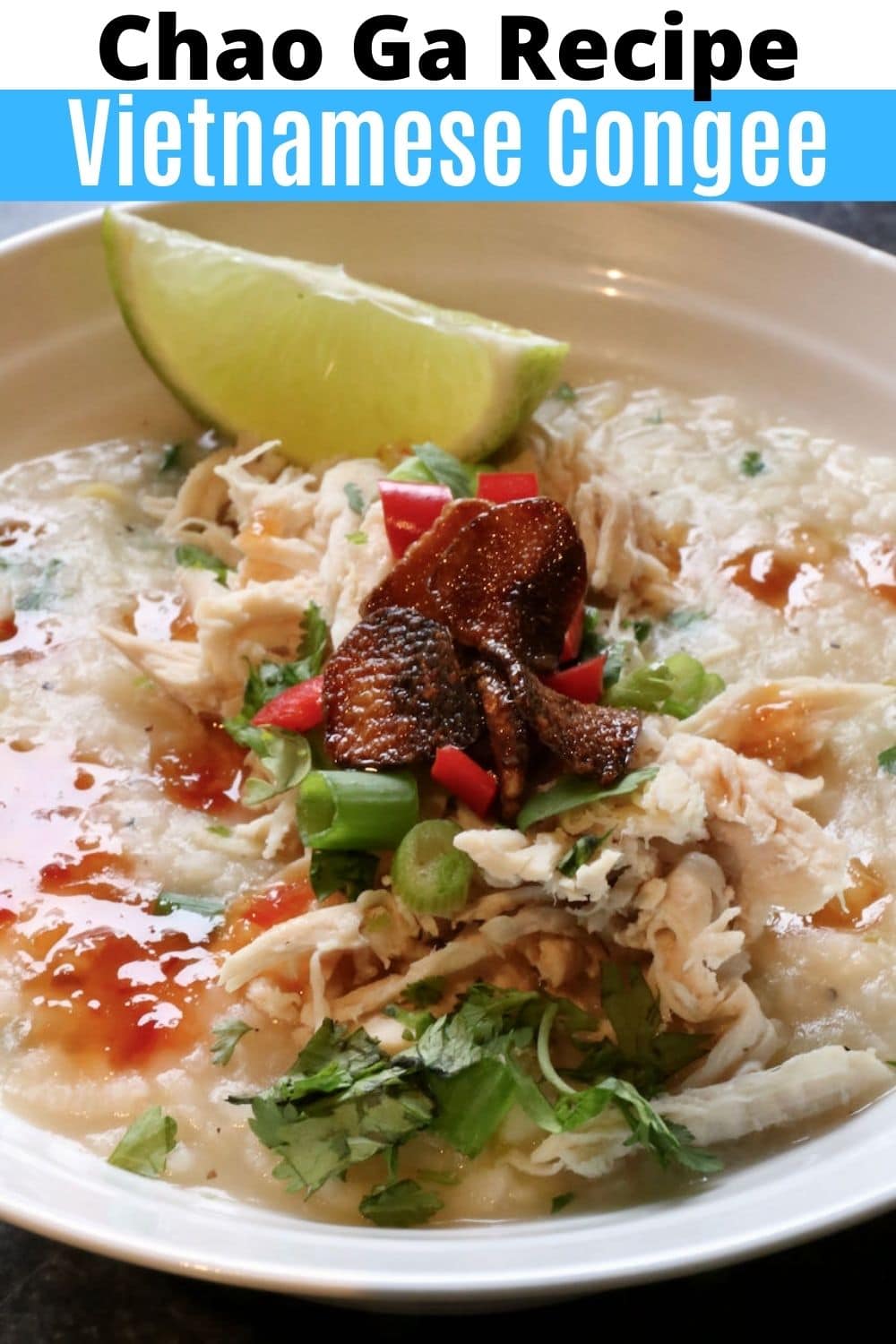 Easy Chao Ga Vietnamese Rice Porridge Breakfast Recipe | dobbernationLOVES