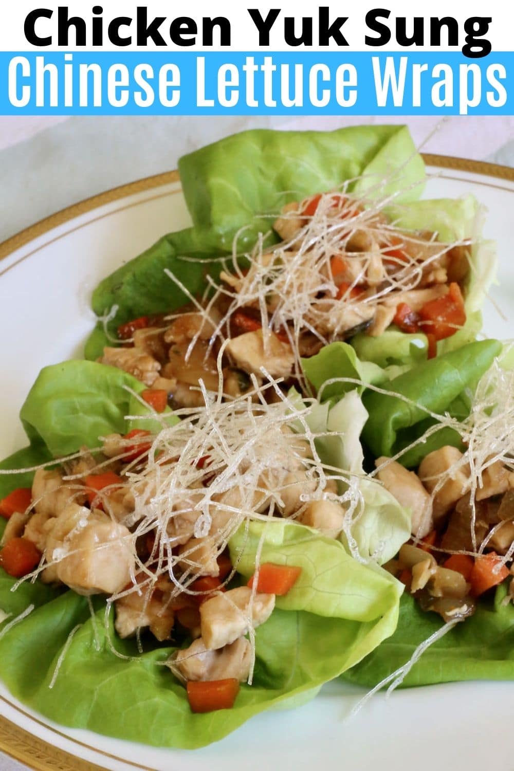 Chicken Yuk Sung Chinese Lettuce Wraps Recipe | dobbernationLOVES