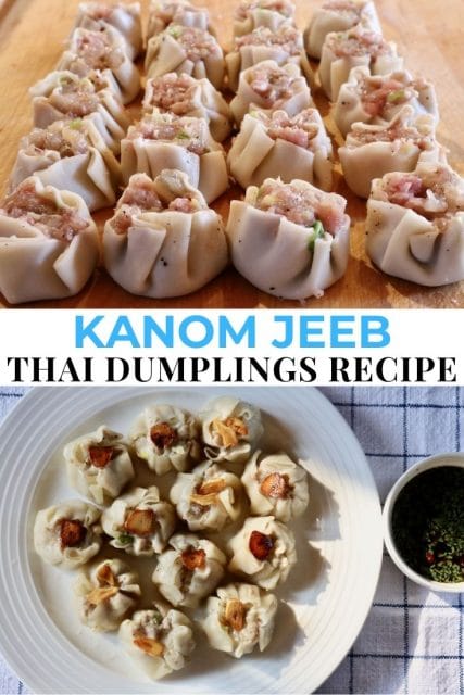Kanom Jeeb Thai Steamed Dumplings Recipe | dobbernationLOVES