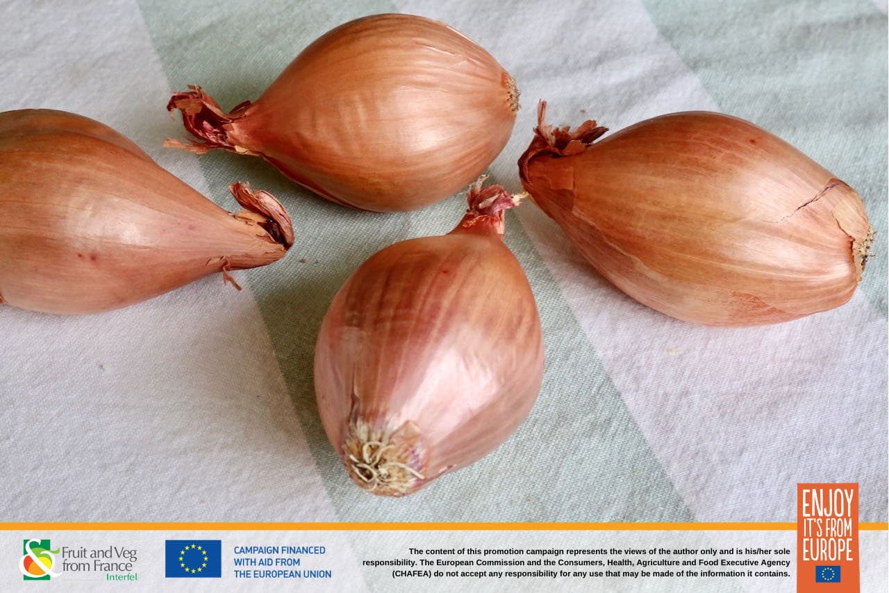 Caramelized Shallot Pasta in Cream Sauce Recipe