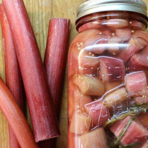 Easy Homemade Swedish Pickled Rhubarb Recipe | dobbernationLOVES