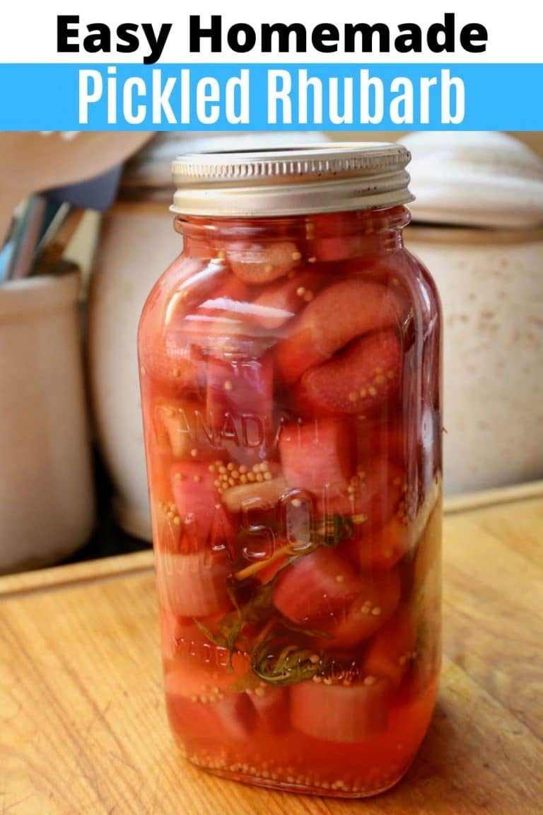 Easy Homemade Swedish Pickled Rhubarb Recipe | dobbernationLOVES