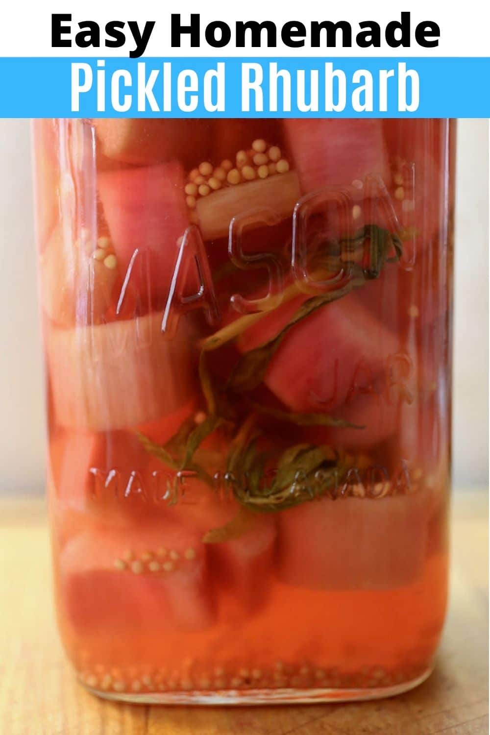 Easy Homemade Swedish Pickled Rhubarb Recipe | dobbernationLOVES