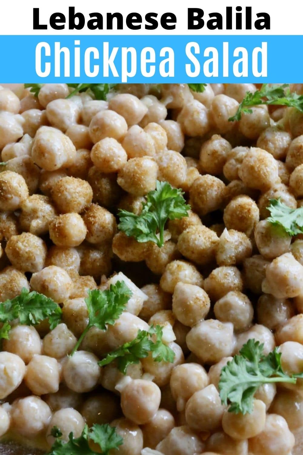 Balila Healthy Vegan Lebanese Chickpea Salad Recipe