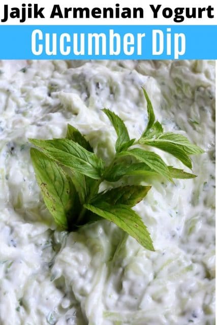 Jajik Middle Eastern Cucumber Yogurt Mint Sauce Salad Dip Recipe