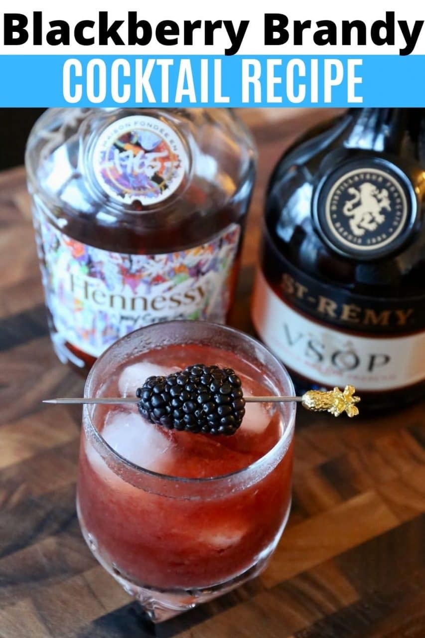 Blackberry Brandy Cocktail Recipe | dobbernationLOVES