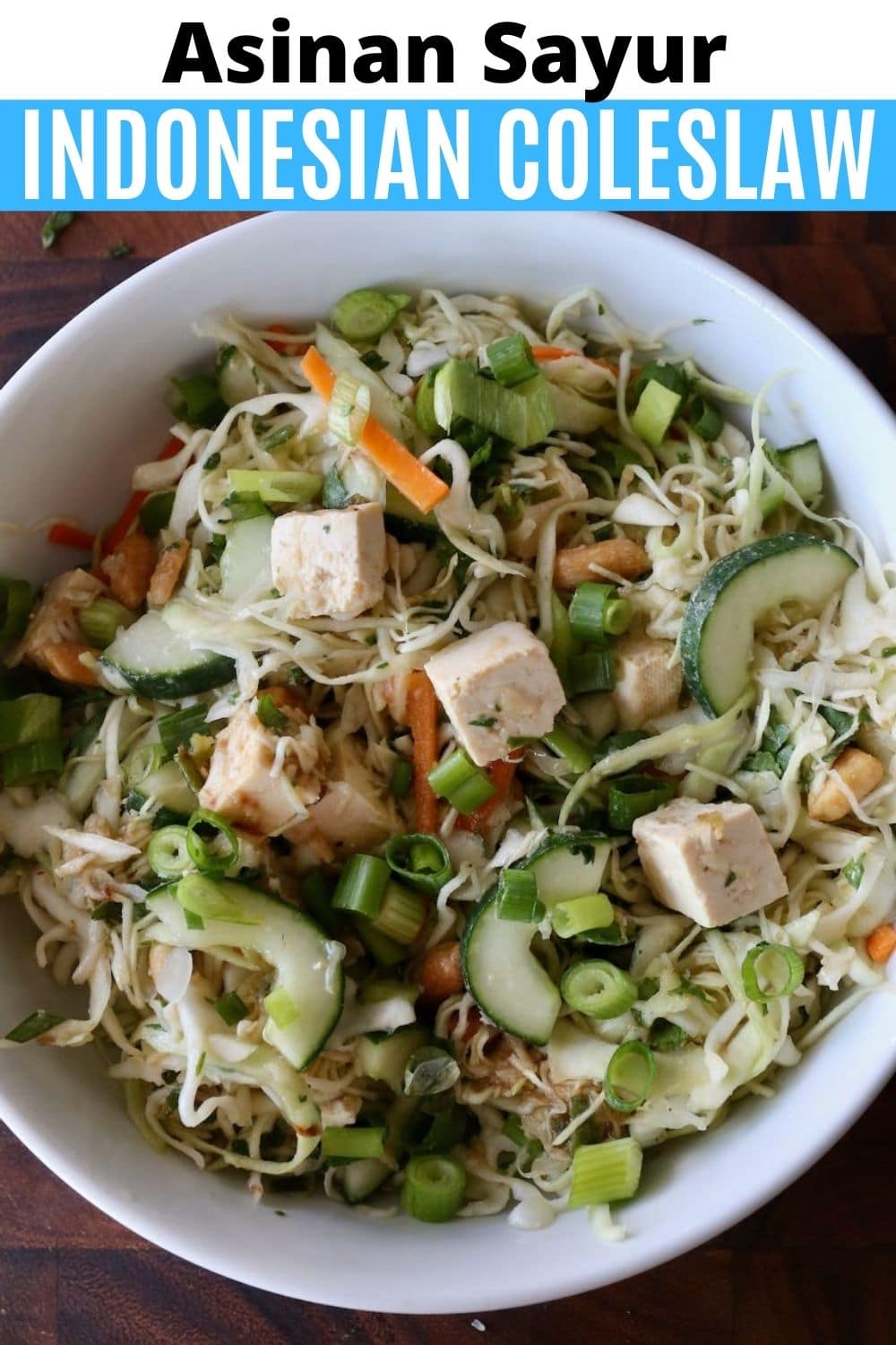 Asinan Sayur Indonesian Coleslaw Cabbage Salad Recipe