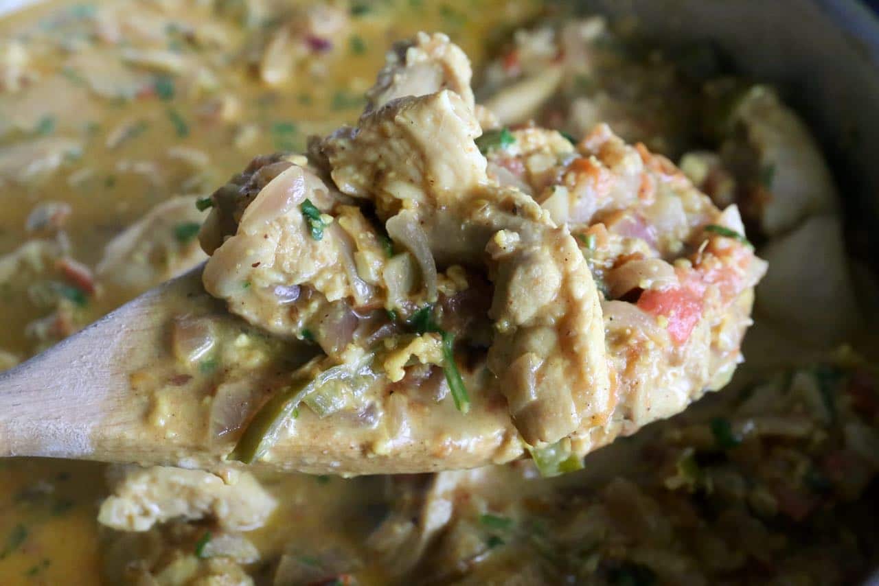 Creamy Indian Chicken Handi Curry Recipe | dobbernationLOVES