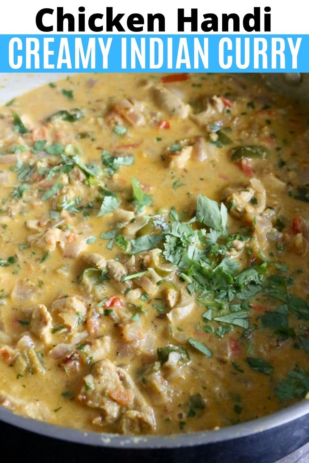 Creamy Indian Chicken Handi Curry Recipe | dobbernationLOVES