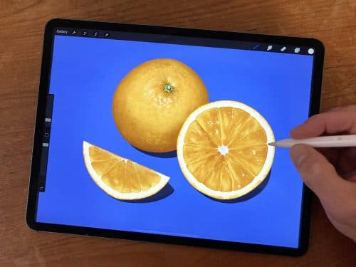 How To Draw an Orange Step by Step Procreate Tutorial