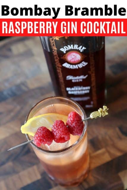 Bombay Bramble Cocktail Gin Recipe | dobbernationLOVES
