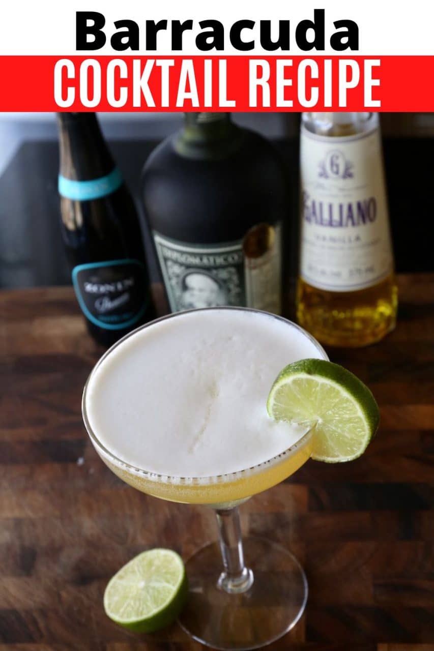 Barracuda Cocktail Recipe | dobbernationLOVES