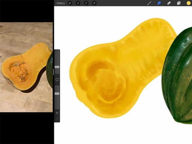 How To Draw Squash Step by Step Procreate Tutorial