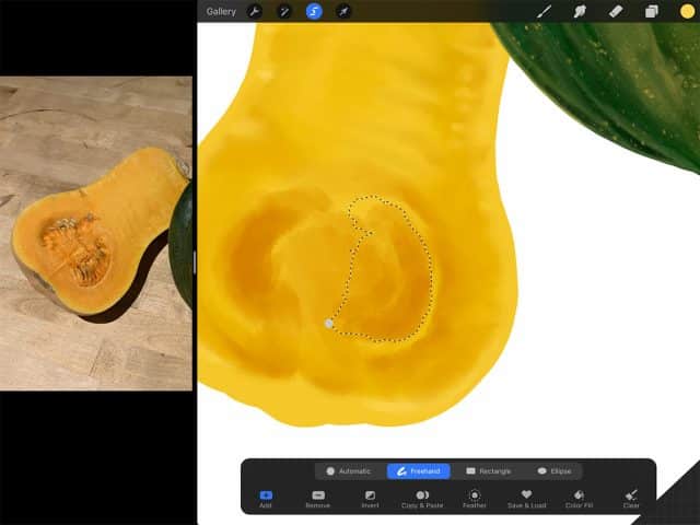 How To Draw Squash Step by Step Procreate Tutorial