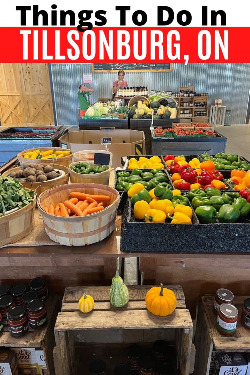 Best Things To Do In Tillsonburg Ontario 2025 | dobbernationLOVES